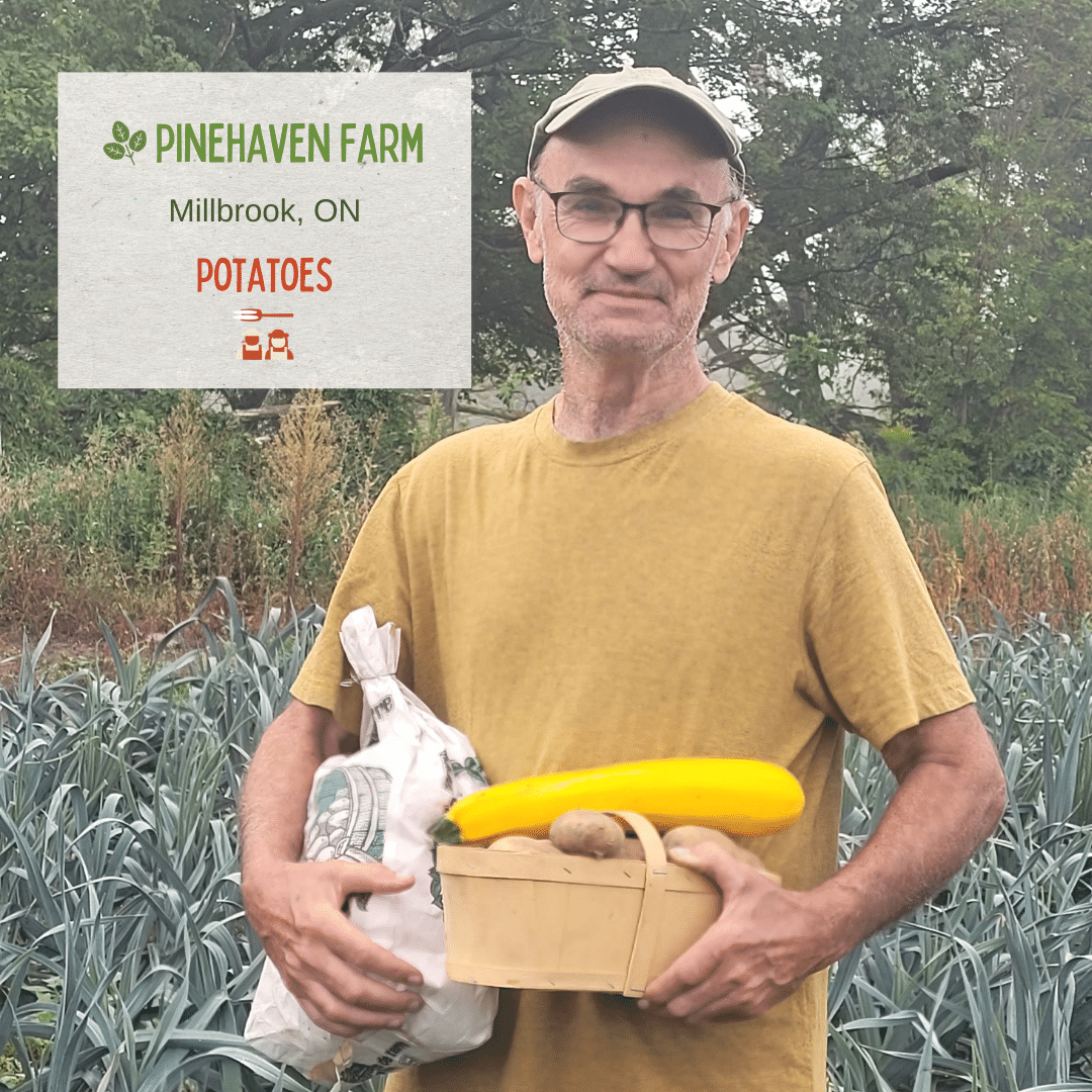 Pinehaven Farm – Graze & Gather