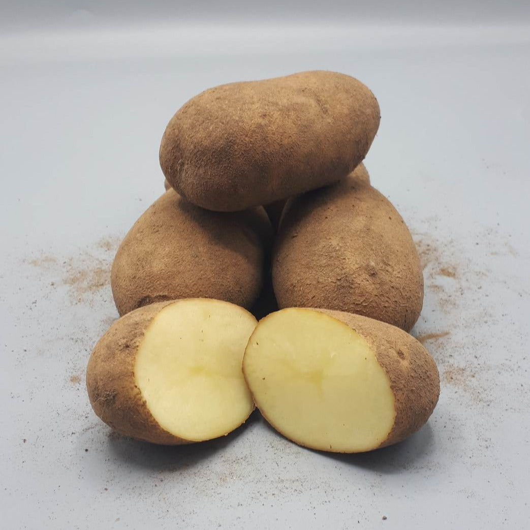 Campagna Potatoes (BULK PRE-ORDER) – Graze & Gather