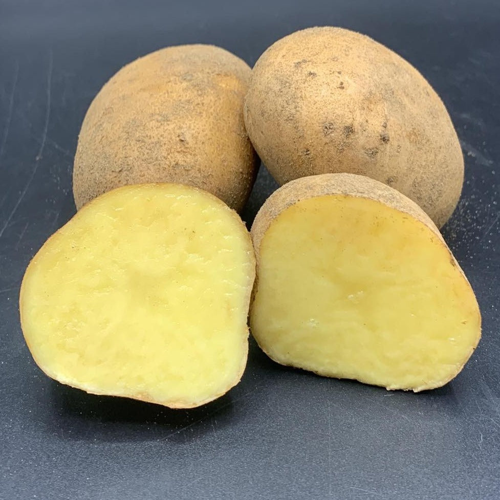 Melody Potatoes (BULK PRE-ORDER) – Graze & Gather
