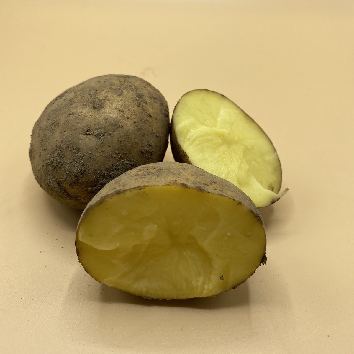 Yukon Gem Potatoes (BULK PRE-ORDER) – Graze & Gather